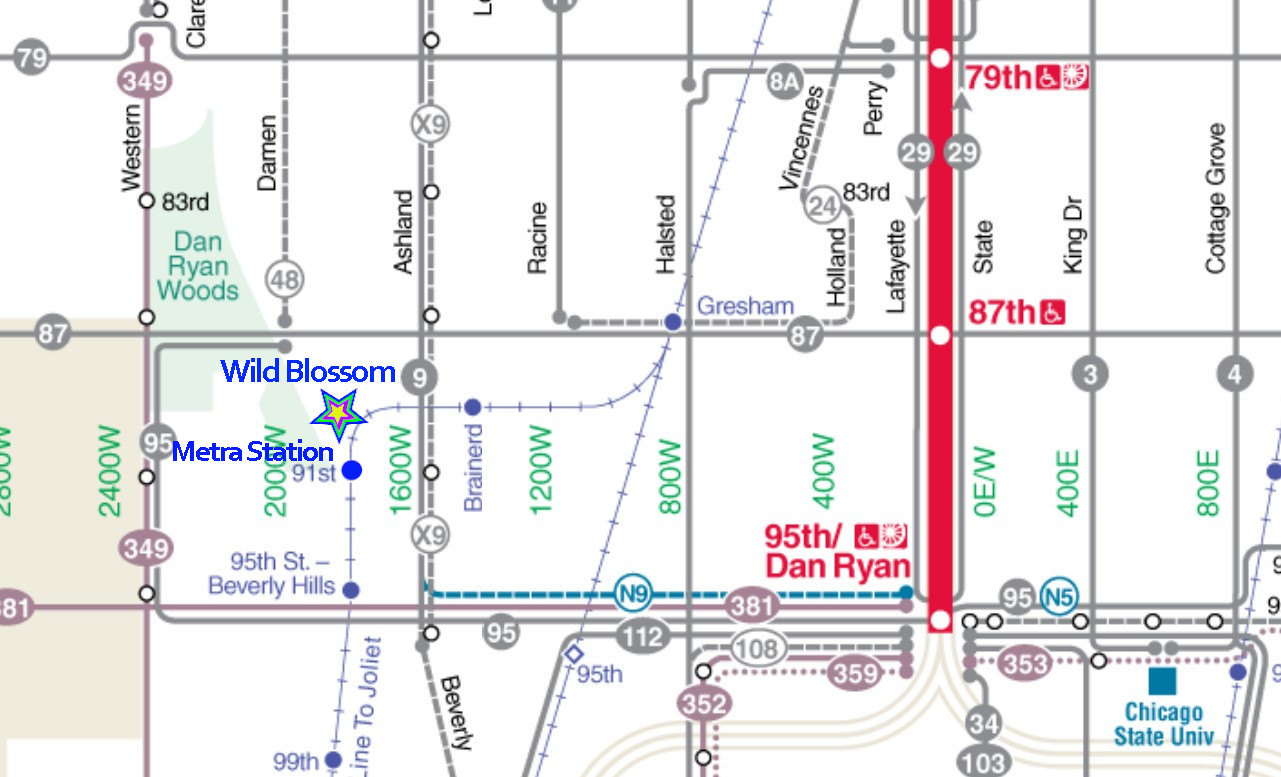 Wild Blossom Transit Map – Chicago Excellence in Gardening Awards